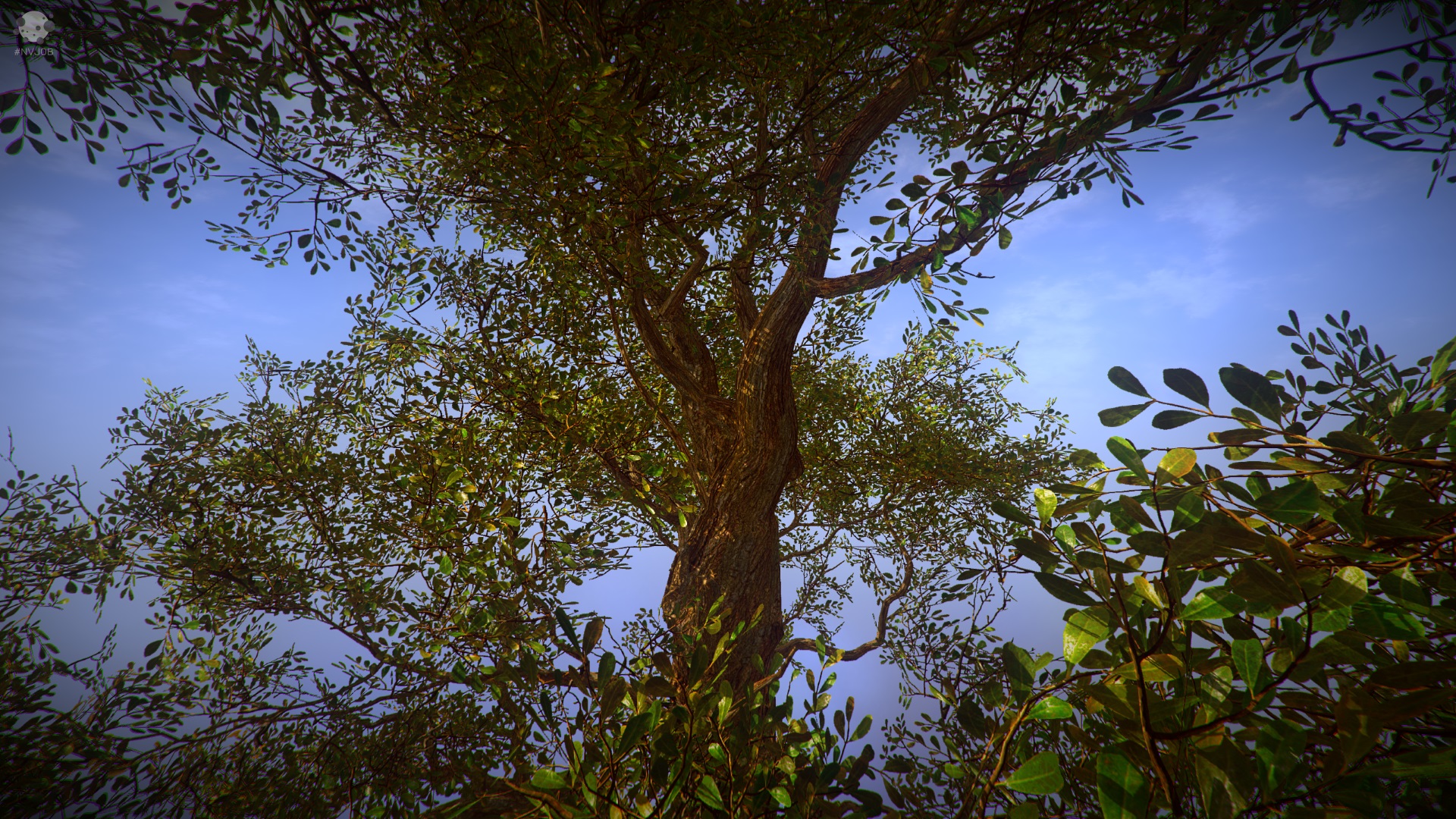 Stc8 Pro Advanced Shader For Unity Speedtree 8 Unity Asset Nicholas 0588